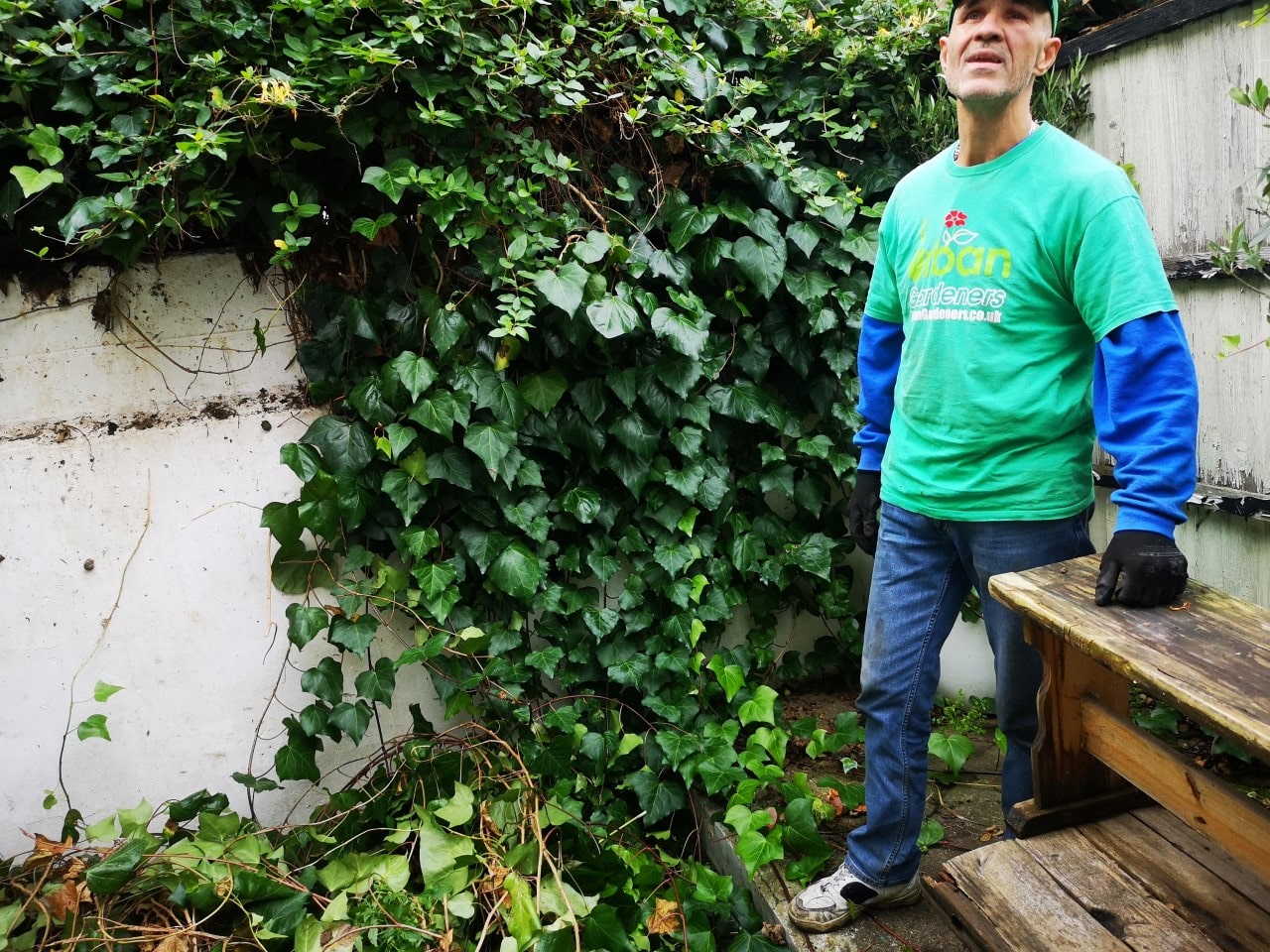 Garden Ivy Maintenance and Tidy-Up Service in Peckham SE15