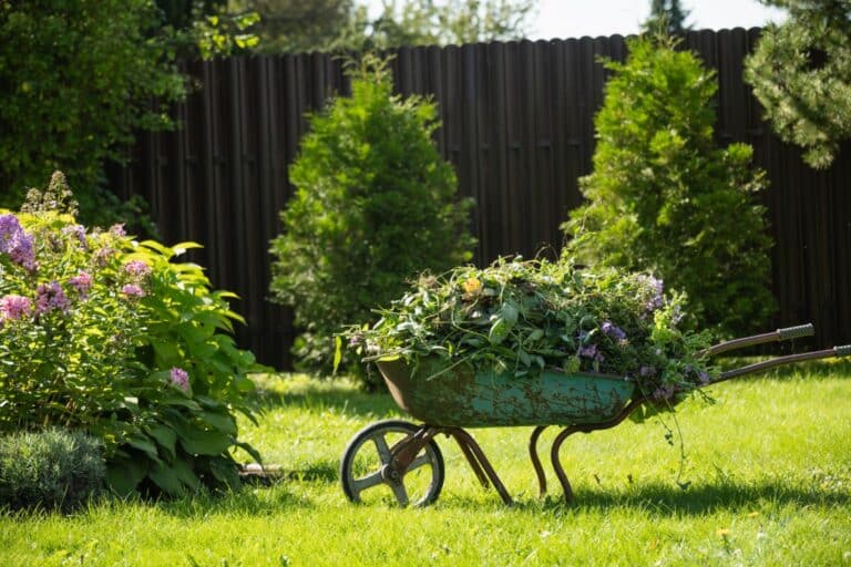 How to Clear an Overgrown Garden: 9 Proven Techniques That Actually Work